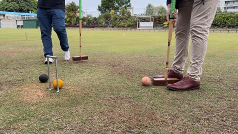 Afternoon with Belnic Constructions: Fun and Competitive Croquet Game